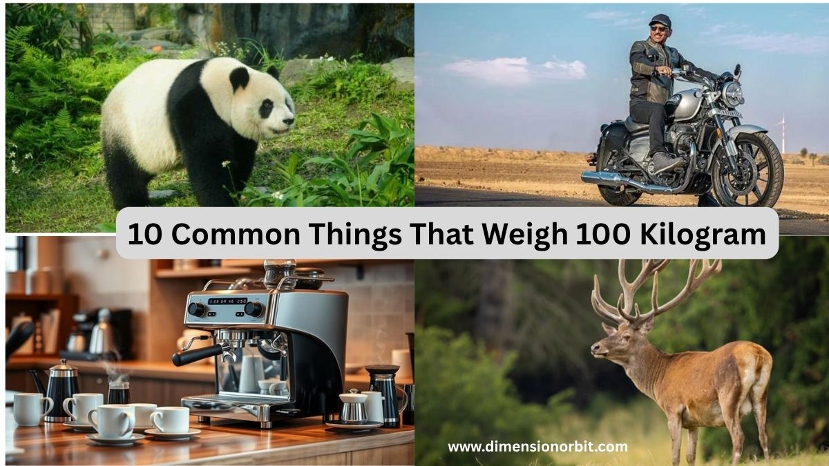10 Common Things That Weigh 100 Kilogram - Dimension Orbit