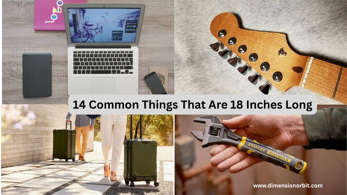 14 Common Things That Are 18 Inches Long - Dimension Orbit