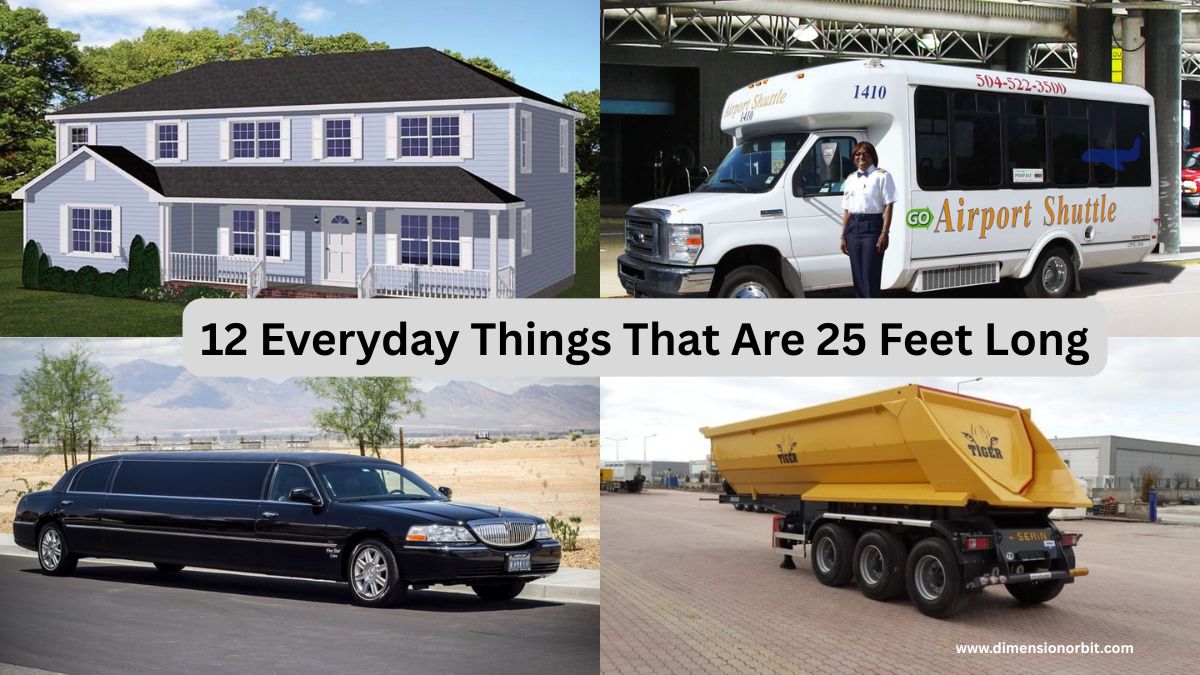12 Everyday Things That Are 25 Feet Long - Dimension Orbit