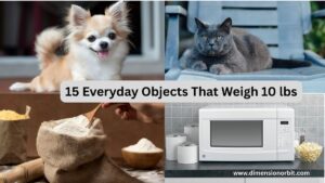 15 Everyday Objects That Weigh 10 lbs - Dimension Orbit