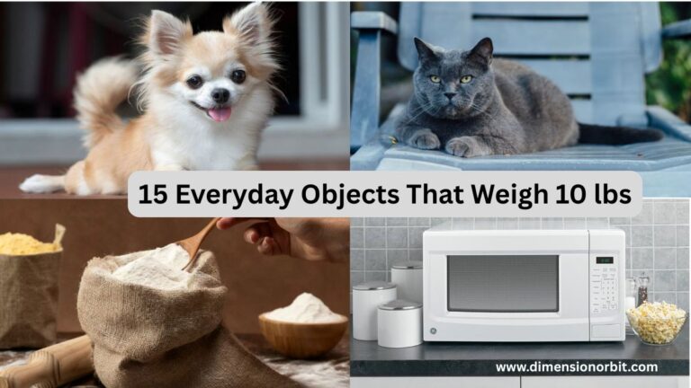 15 Everyday Objects That Weigh 10 lbs - Dimension Orbit