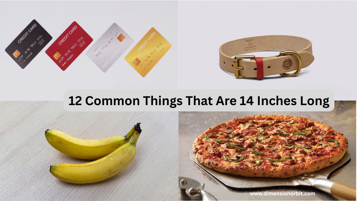 12 Common Things That Are 14 Inches Long - Dimension Orbit