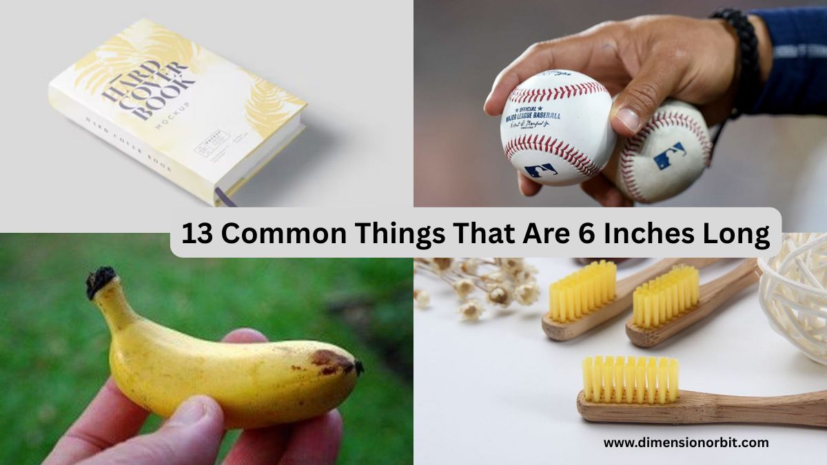 13 Common Things That Are 6 Inches Long - Dimension Orbit
