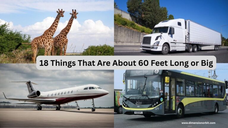 18 Things That Are About 60 Feet Long or Big - Dimension Orbit