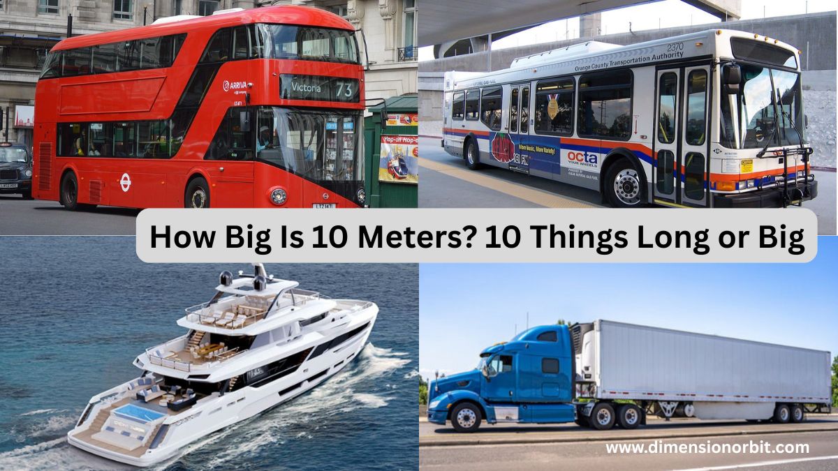 How Big Is 10 Meters? 10 Things Long or Big - Dimension Orbit