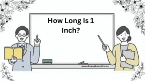 13 Everyday Objects That Are 1 Inch Objects - Dimension Orbit