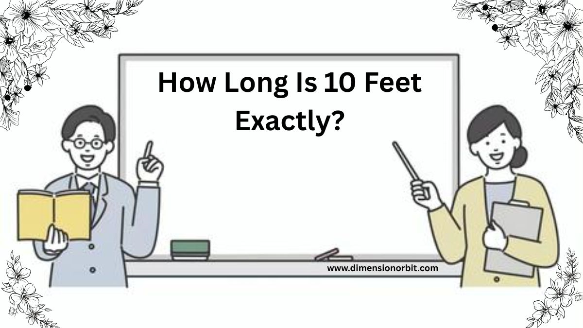 How Tall Is 10 Feet? 11 Common Things - Dimension Orbit