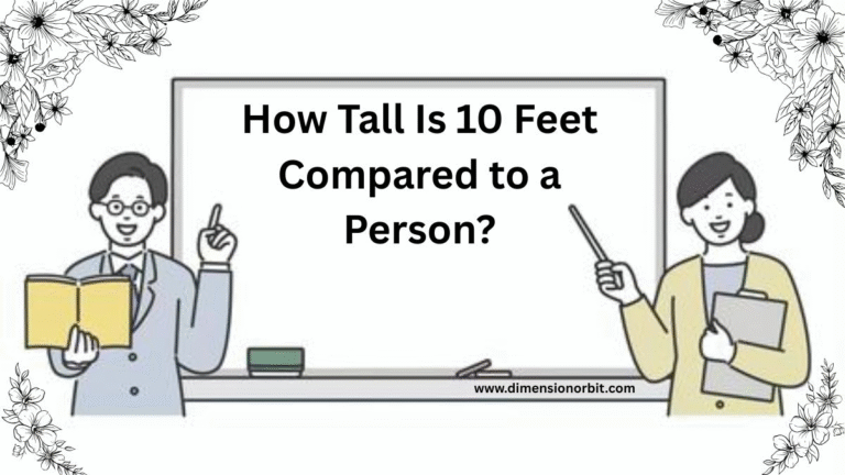 How Tall Is 10 Feet? 11 Common Things - Dimension Orbit