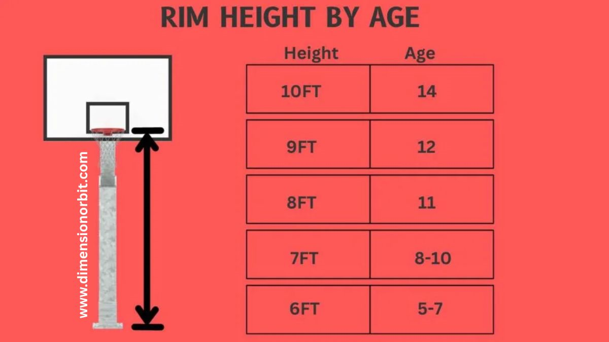 How Tall Is 10 Feet? 11 Common Things - Dimension Orbit