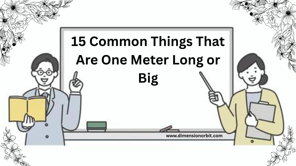 15 Common Things That Are 1 Meter Long or Big - Dimension Orbit