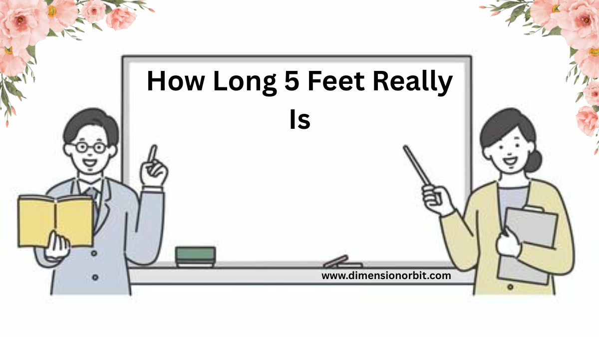 22 Common Things That Are 5 Feet Long - Dimension Orbit