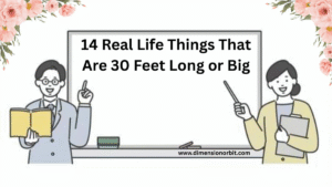 how big is 30 feet? 14 Common Things - Dimension Orbit
