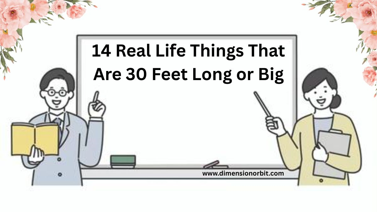how big is 30 feet? 14 Common Things - Dimension Orbit
