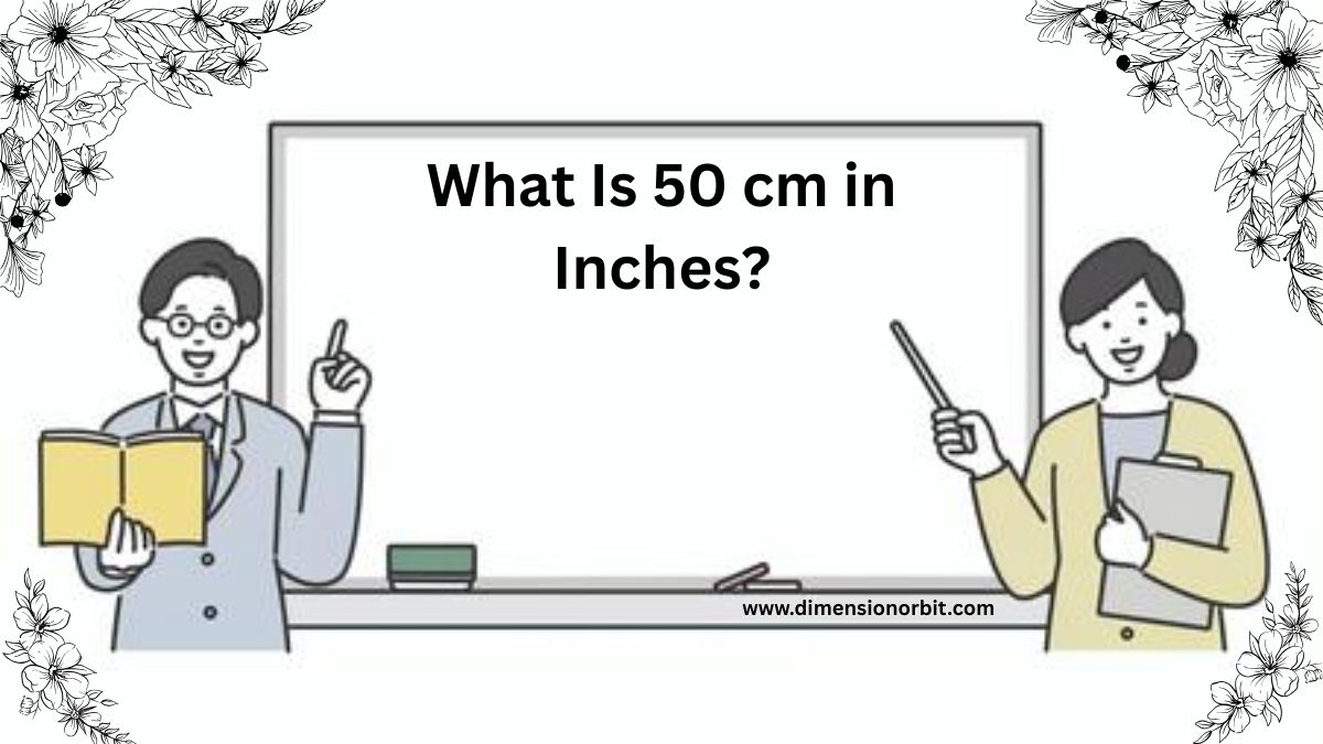 10 Everyday Items That Are About 50 cm Long - Dimension Orbit