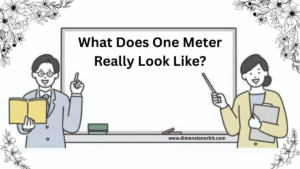15 Common Things That Are 1 Meter Long or Big - Dimension Orbit